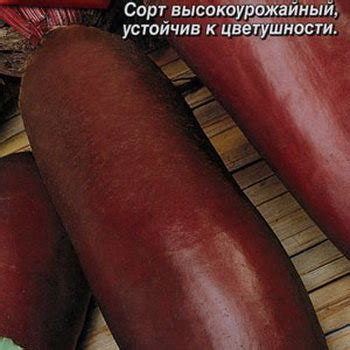 Купить семена Свекла столовая Цилиндра одноростковая в магазине Первые ...