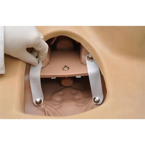Advanced Patient Care Male Prostate Simulator – GTSimulators.com