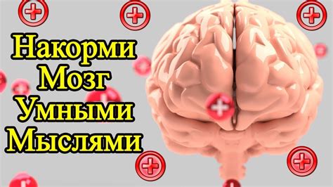 28 мудрых мыслей для мотивации на успех – Красивые и умные мысли о ...