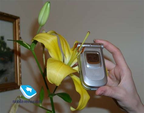 Mobile-review.com Samsung V200 в интерьере