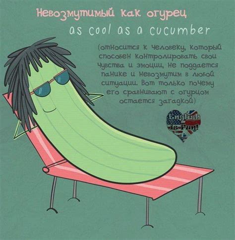 Английские фразеологизмы в картинках | English idioms, Idioms ...
