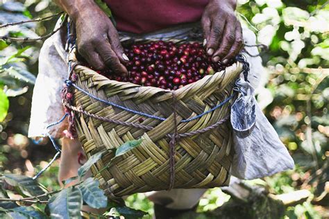 Oakland: Head To Royal Coffee To Learn About "Working Toward Transparency"
