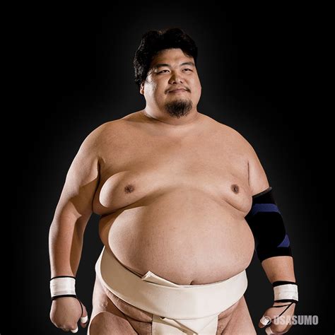 Sumo Wrestlers 2023 | Knox Asian Festival