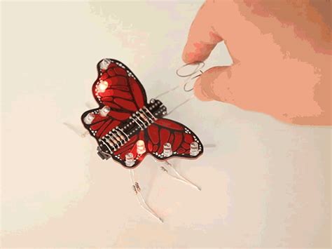The monarch - Opencircuit