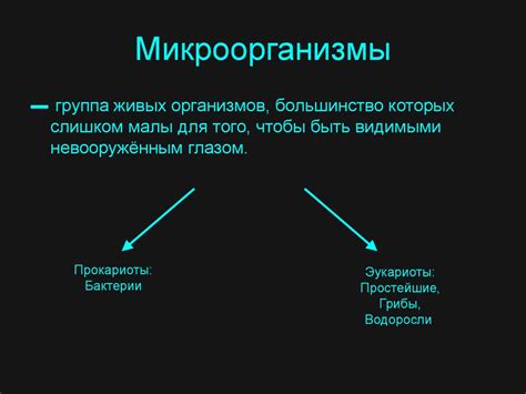 Селекция микроорганизмов - презентация онлайн
