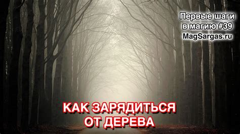 Природная Магия - Как Зарядиться от Дерева - Маг Sargas - YouTube