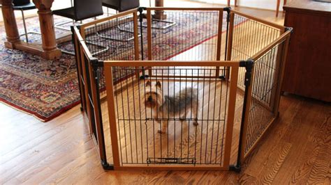 Загон для собак в квартире и на улице — For-pet