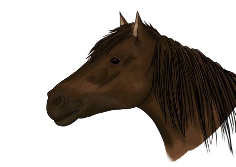 Comment dessiner une tête de cheval - Blog - Dessindigo