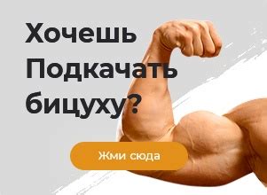 Интернет магазин спортивного питания Kultlab в Барнауле. Купить ...
