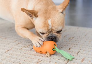Petstages Dog Toys & Cat Toys