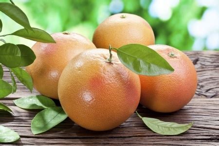 Baltic Fresh Fruit | Оптовая торговля фруктами и овощами