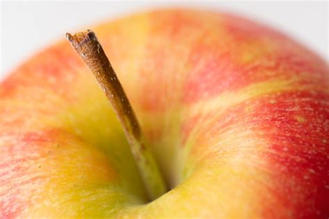 Alnova® KI2586* - Early ripening Pinova