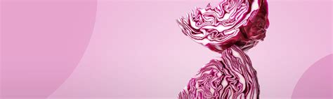 ART Food :: Behance