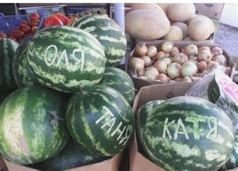 17 курьезных снимков из реальной жизни, которые заставят посмеяться от души