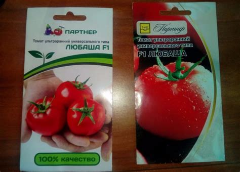 Ультраранний томат Любаша: описание, фото, урожайность, характеристики ...