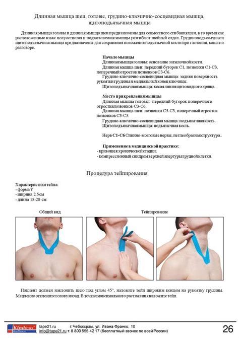Руководство по кинезио тейпированию - презентация онлайн