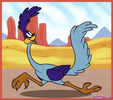 Road Runner | Road runner, Cartoon, Looney tunes characters