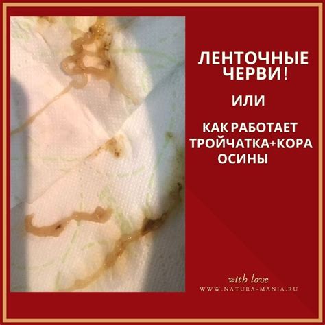Кора осины микронизированная, Гордеев, 100 г