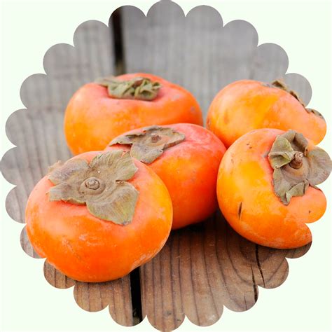 Хурма инжирная (Ромашка)