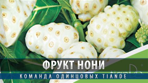 Фрукт Нони - YouTube