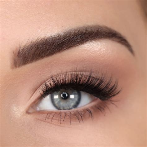 Nova – The Bright Lashes