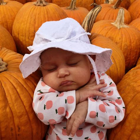 Shh Pumpkin Sleeping - Happily Ever Parker