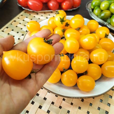 Купить семена томата сорт Микро золотой (Micro Gold)