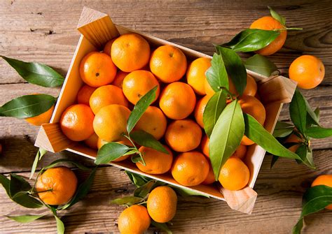 The Nadorcott Case (176/18) - Patent of a Mandarin Variety