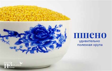 Пшено и пшенная каша. Польза и вред. Полезные свойства