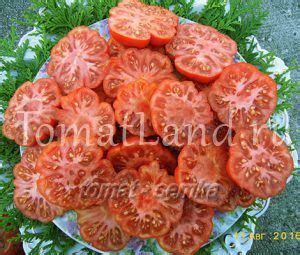 Томат Писанелло Де Брускетта | Tomato, Food, Shrimp