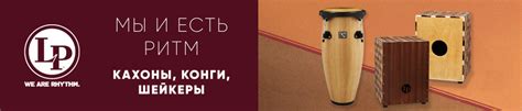 Конги купить в Музторге по выгодной цене