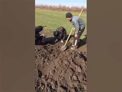 Рассада Хурмы - YouTube