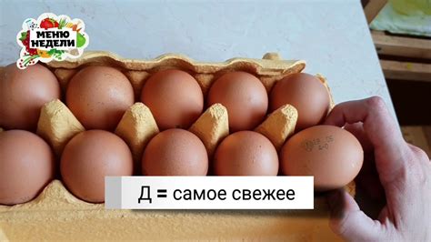 Как выбирать яйца в магазине? - YouTube