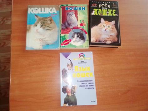 Книги про кошек в дар (Омск). Дарудар