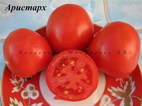 Аристарх