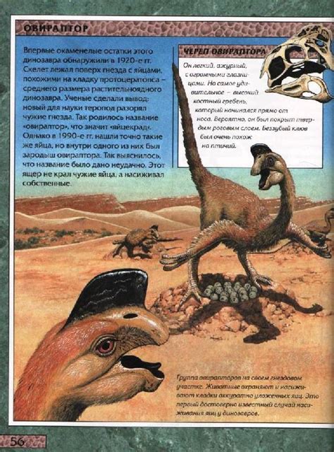 Книга: Большая иллюстрированная энциклопедия динозавров - Мэлам, Паркер ...
