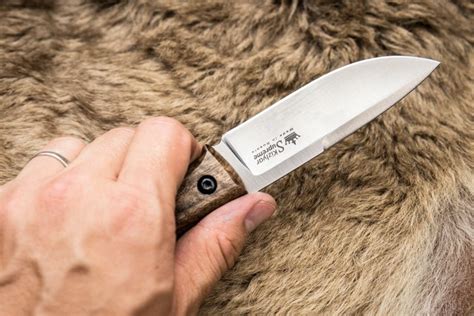 Pevný nůž KIZLYAR SUPREME® Colada AUS-8 SW Walnut | HQH System