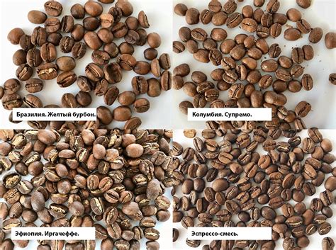 Виды кофе - какой бывает кофе в зернах, разновидности сортов i-coffee ...