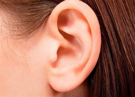СЕРНЫЕ ПРОБКИ В УШАХ УДАЛИТЬ СОВСЕМ НЕСЛОЖНО. БЕЗОПАСНЫЙ РЕЦЕПТ » ЧапЧап