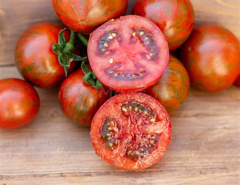 САРАНДИПИТИ DWARF SARANDIPITY — BTomate