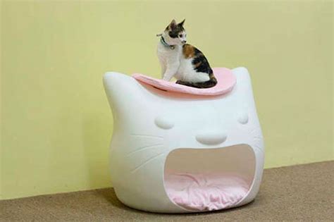 Кошачьи домики (32 фото)
