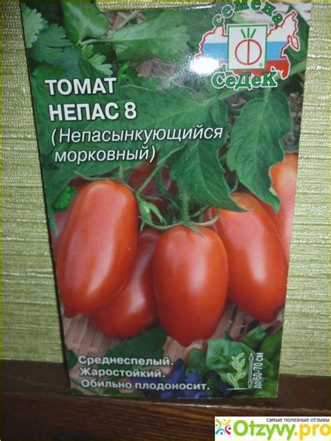 Томаты непас: отзывы, фото, характеристики, описание сорта, урожайность