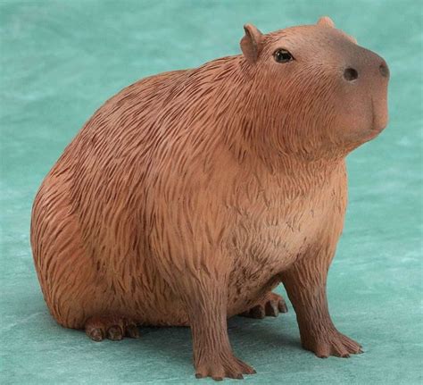 toy capybara | Capybara, Animals, Animal decor