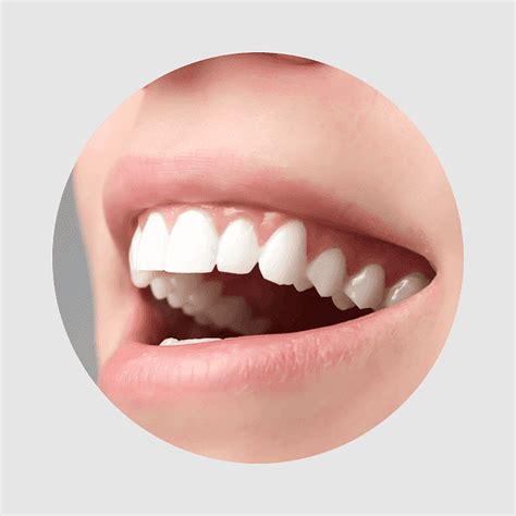 Cermet, periodontitis, structural Robustness, Zirconium dioxide ...