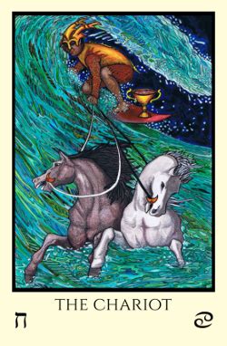 Tabula Mundi Tarot Review, Rating + Card Images | Aeclectic Tarot