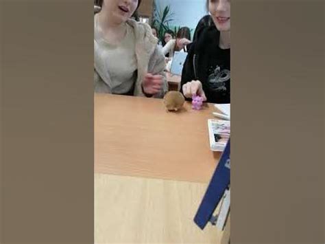 милый хомячок - YouTube