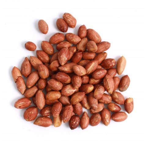 Peanut