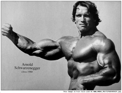 Арнольд Шварценеггер (Arnold Schwarzenegger), фотографии, биография ...