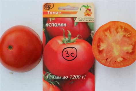 ОТЗЫВЫ о 20 сортов томатов (фото-обзор): rebro_a_dama — LiveJournal