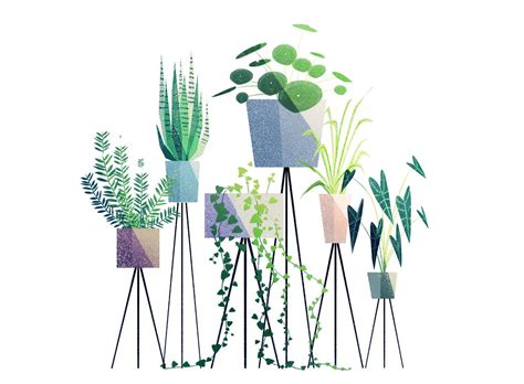 Новости | Sketch book, Drawing illustrations, Plant illustration